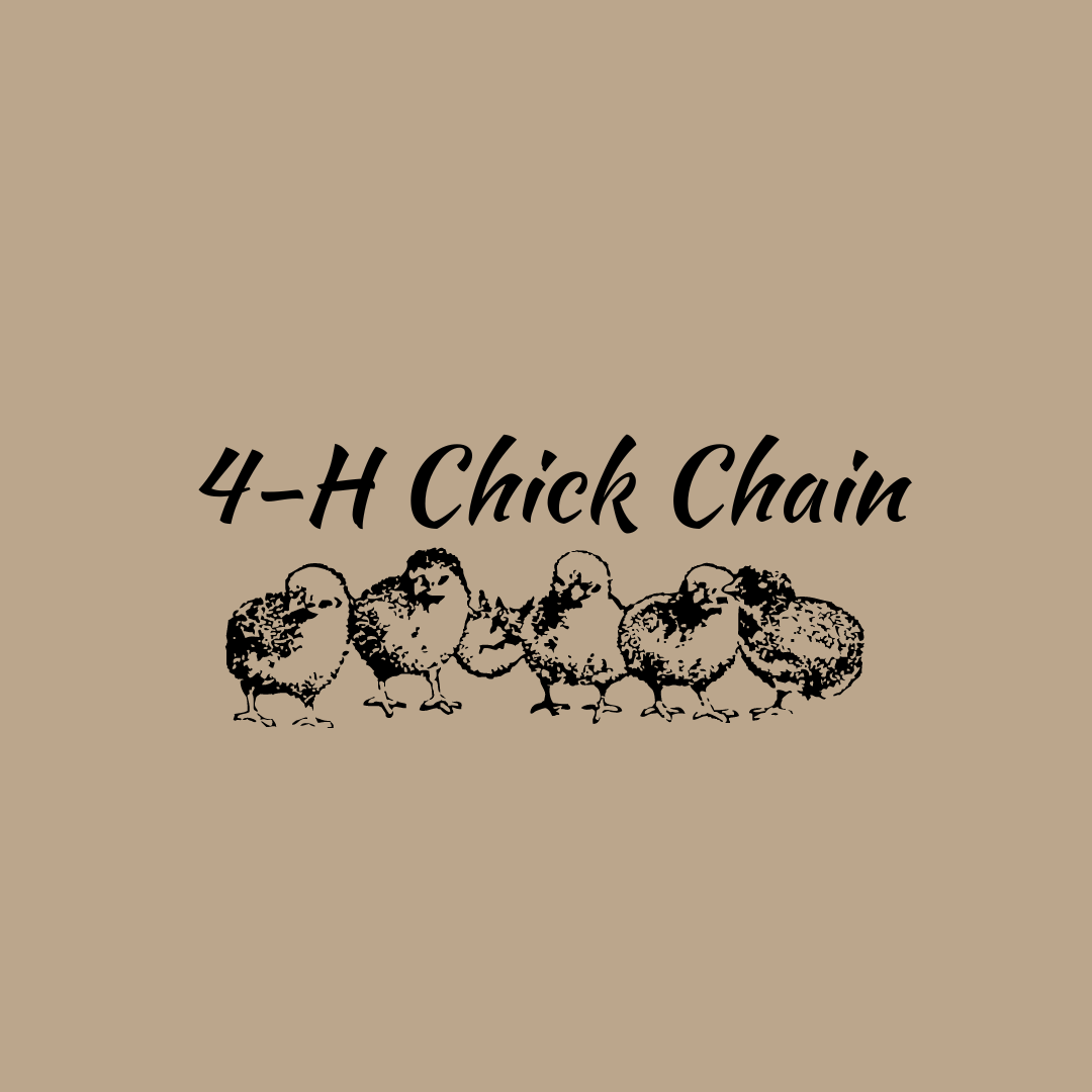 4-H Chick Chain | Meigs County